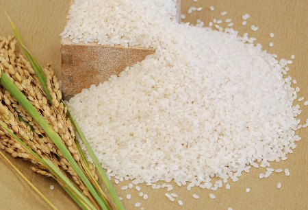 Shinmai New Crop Rice – Asahi Imports
